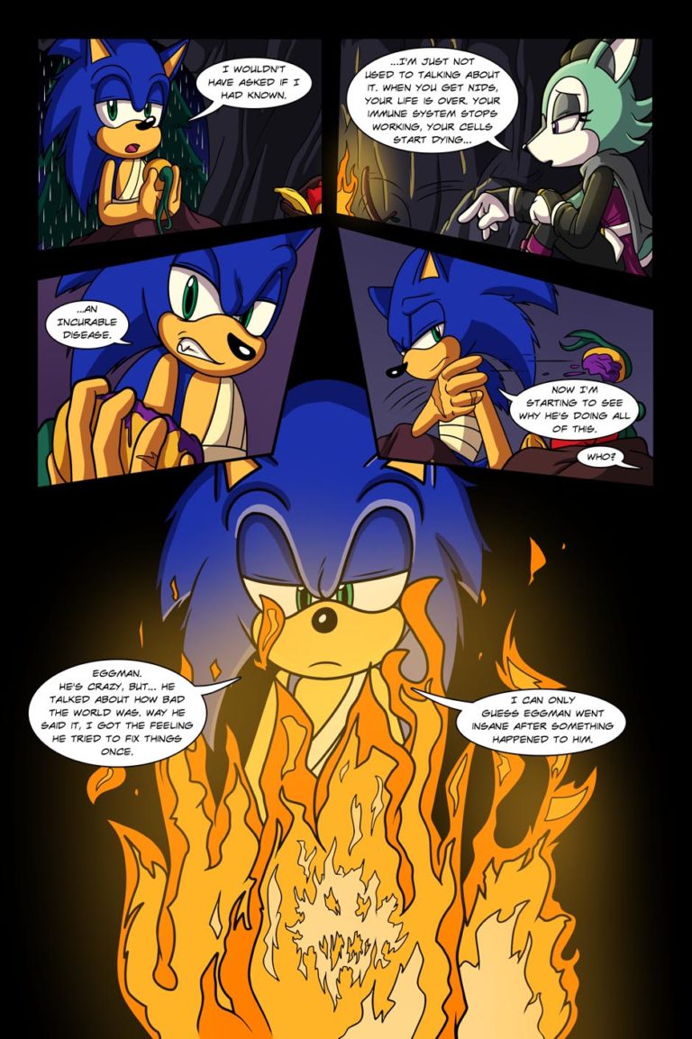 Issue 12: Quiet Burdens - Sonic Legacy